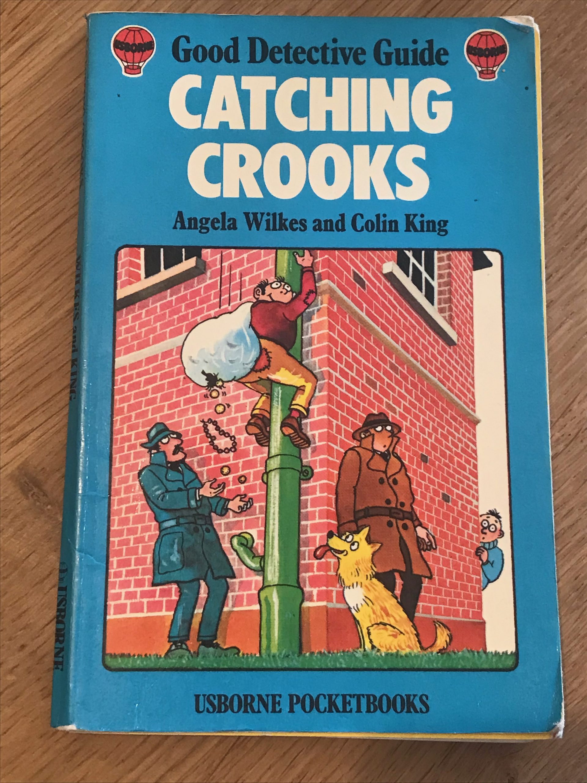 Good Detective Guide – Catching Crooks
